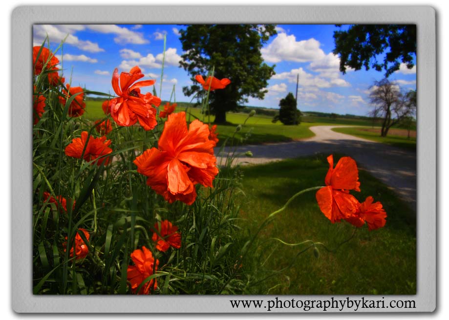 Summer is FINALLY here.... I think.... {Spring Valley Minnesota ...