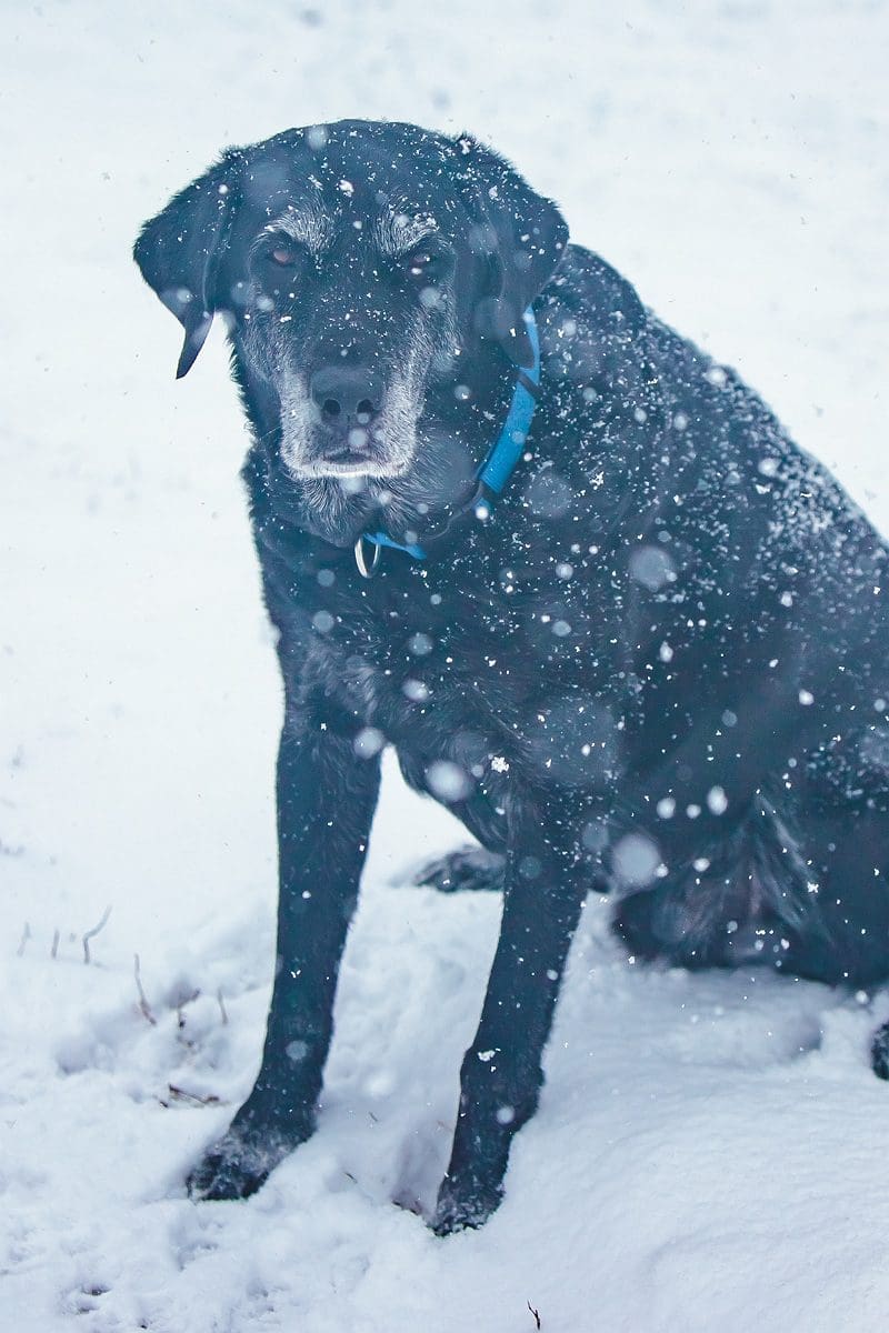 MN April Snow {SE MN Photographer} - Photography By Kari - Kari McGill ...