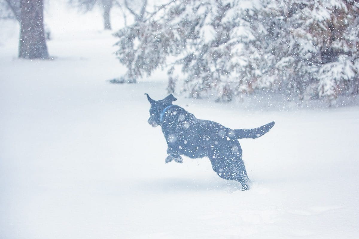 MN April Snow {SE MN Photographer} - Photography By Kari - Kari McGill ...