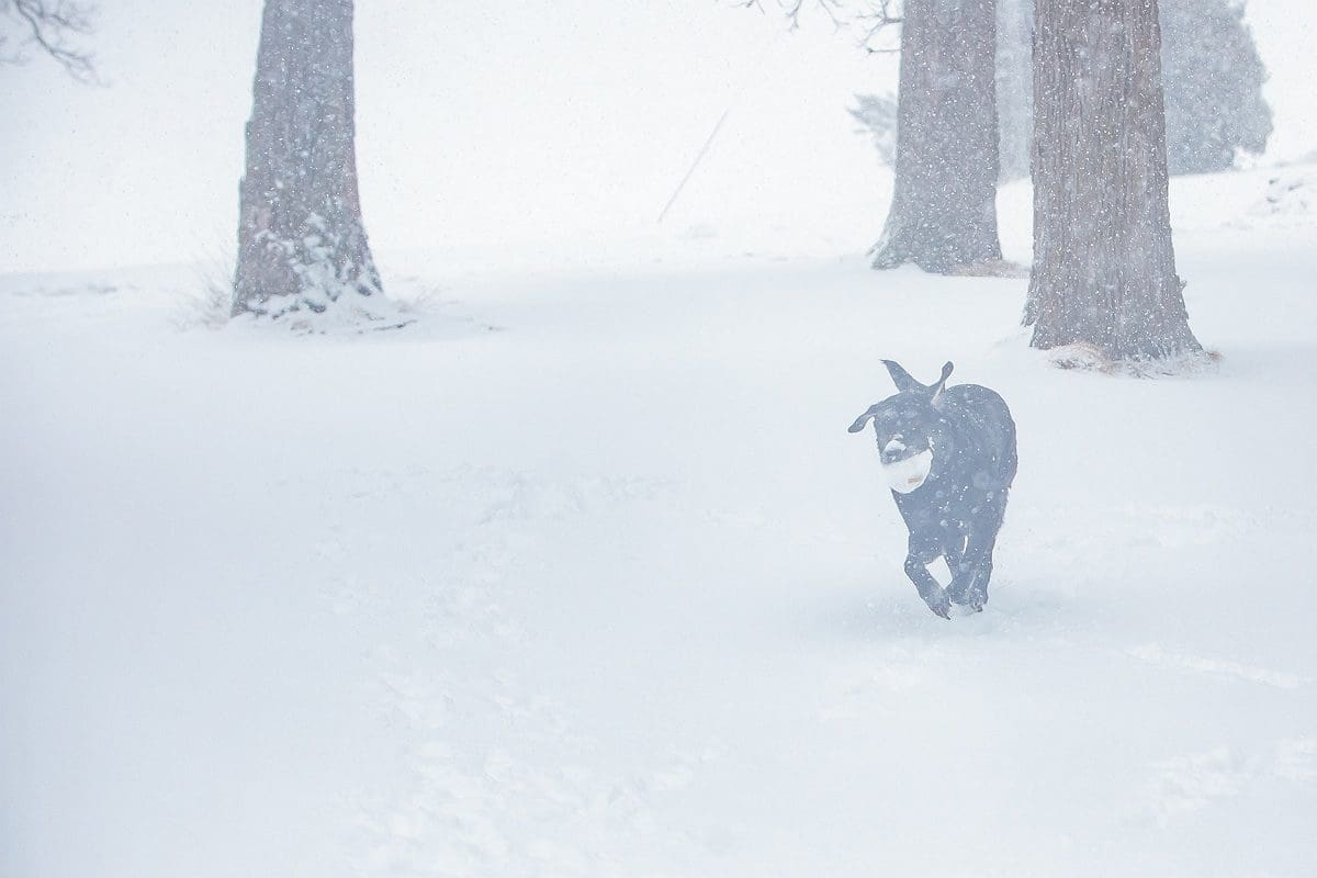 MN April Snow {SE MN Photographer} - Photography By Kari - Kari McGill ...