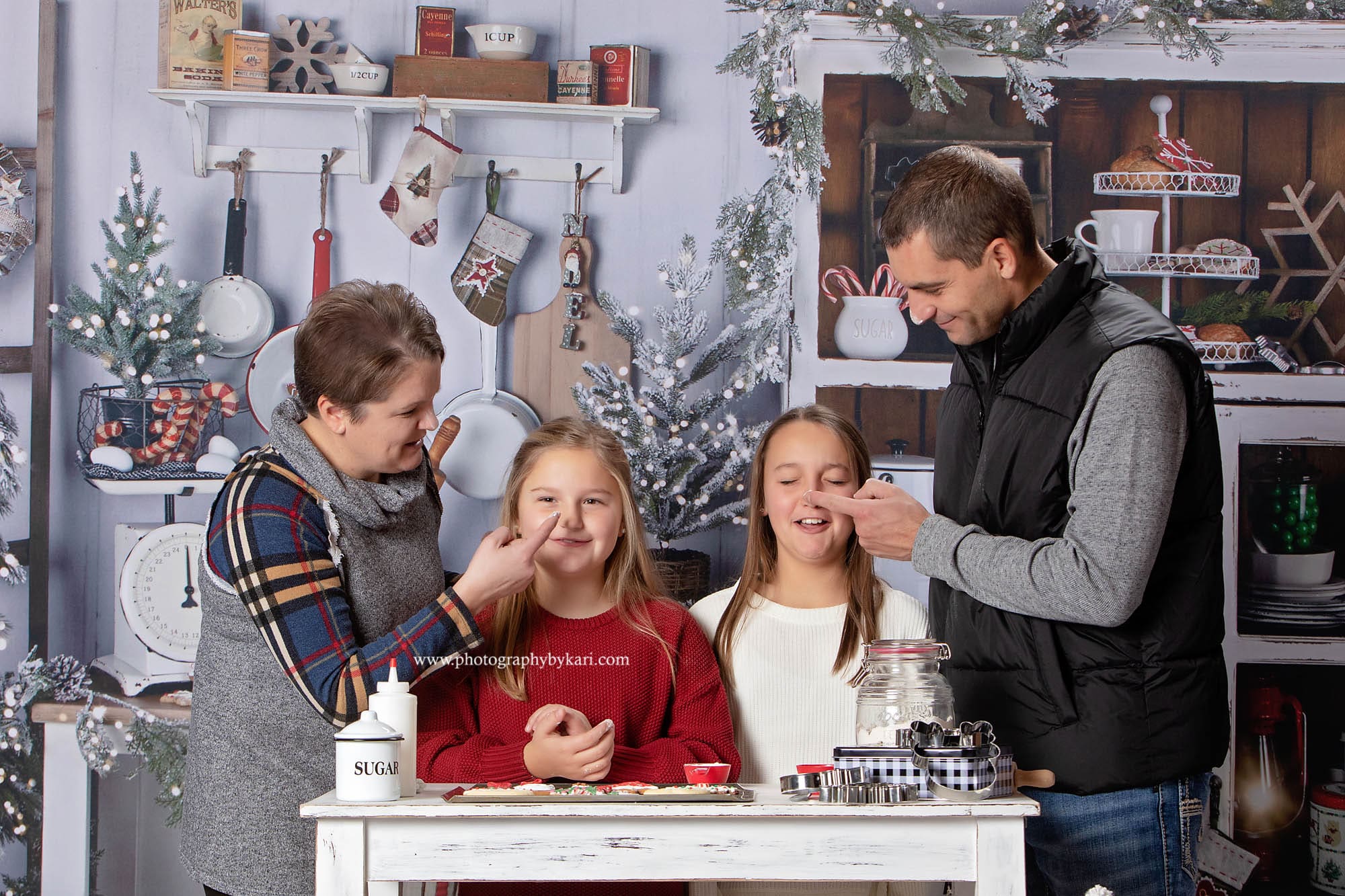 Christmas Mini Portraits {SE MN Christmas Portrait Photographer ...